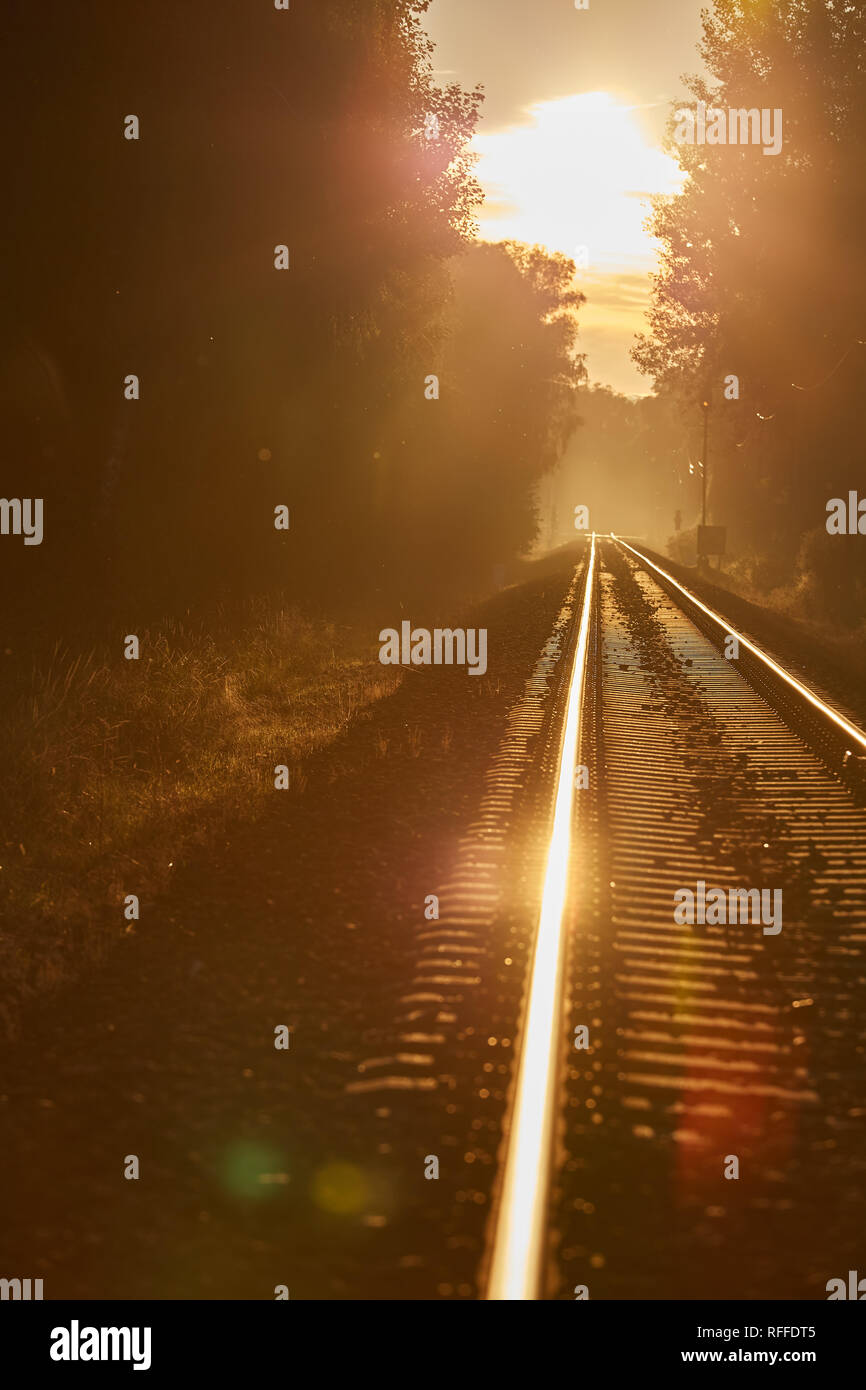 Long railway in a sunset light Stock Photo - Alamy