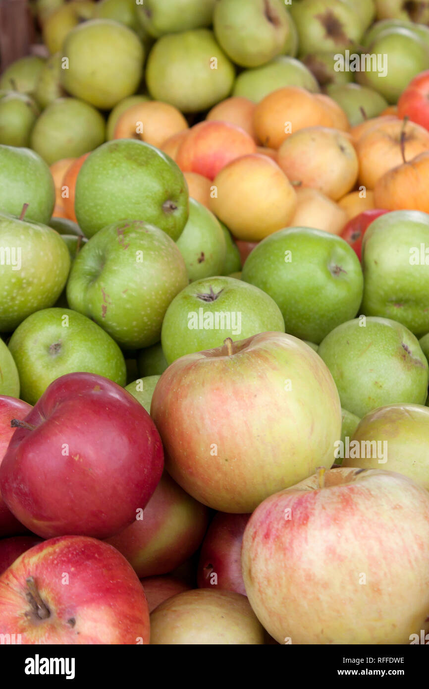 Types many hi-res stock photography and images - Alamy