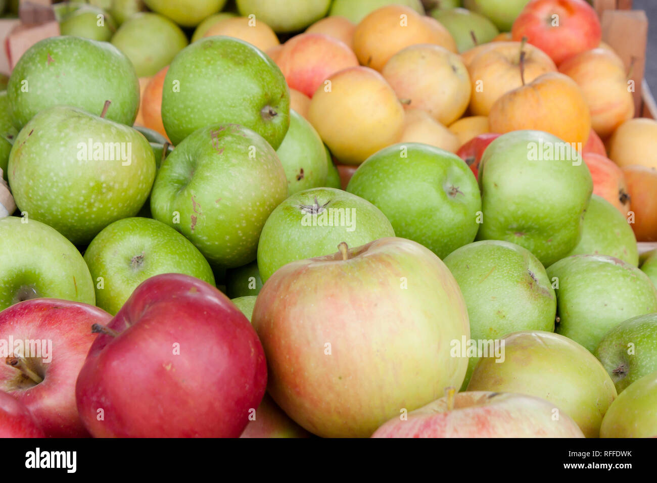 Different types of apple hi-res stock photography and images - Alamy