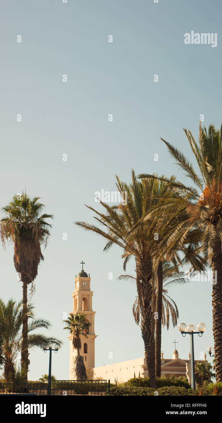 Potrait View on Palm Trees in Front of St Peters Church in Tel Aviv ...