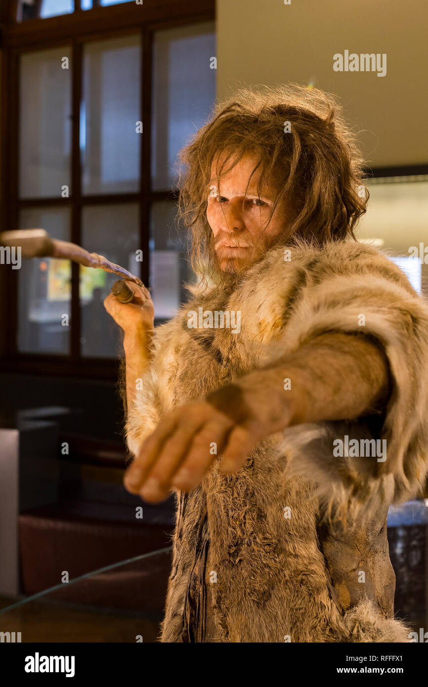 Dinosaur assembly hi-res stock photography and images - Alamy