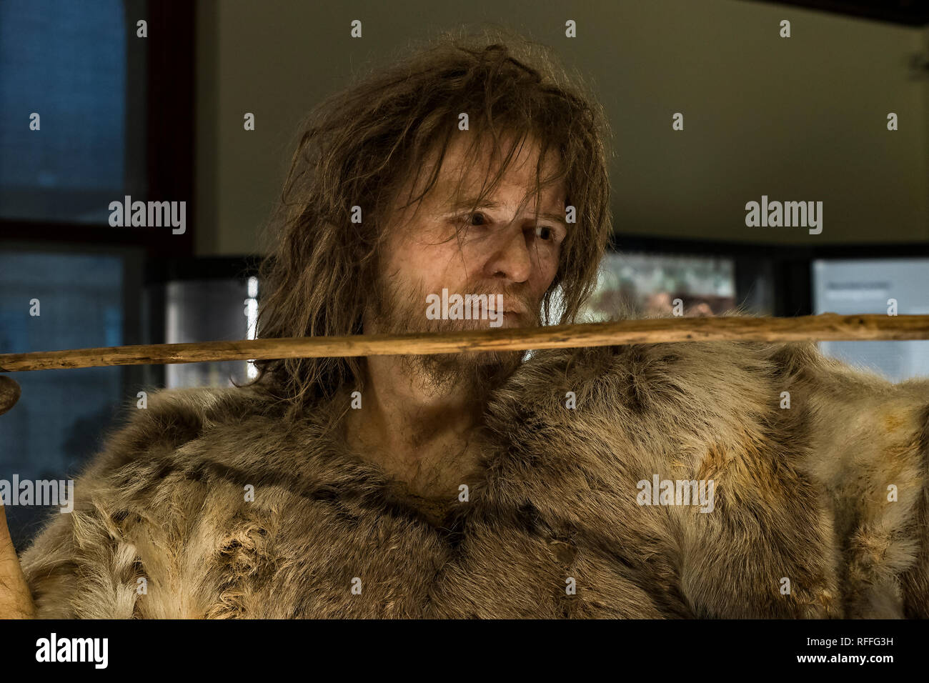 Fossil skeleton assembly hi-res stock photography and images - Alamy