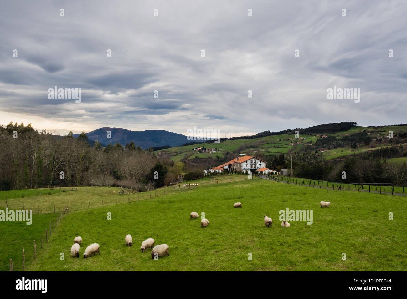 Typical shepherd hi-res stock photography and images - Alamy