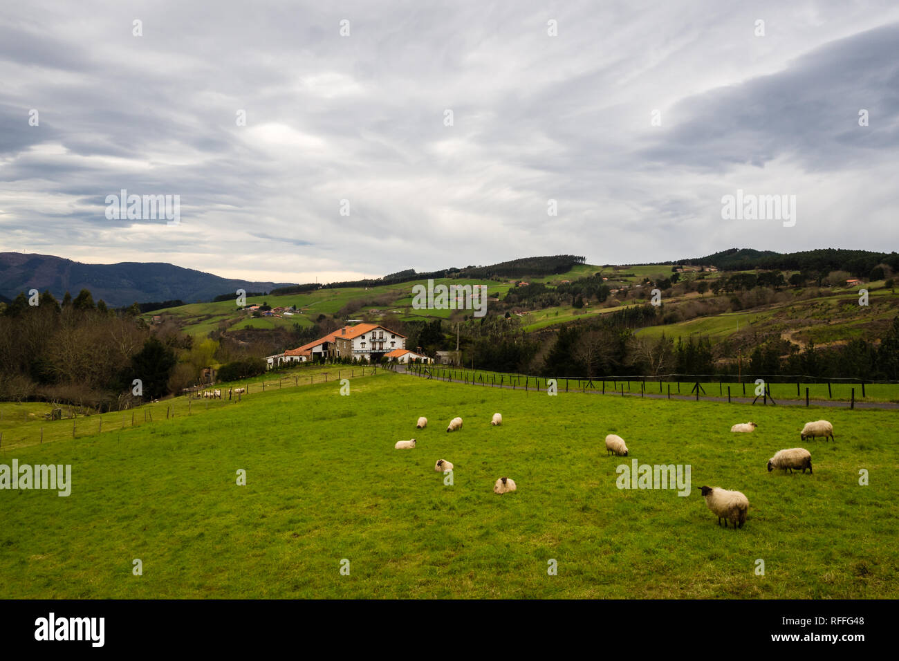Typical Basque farmhouse with sheep grazing on a cloudy day, Basque ...