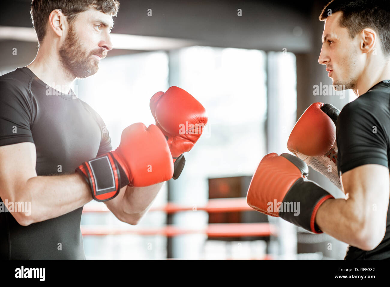 Two professional boxers in black sportswear red gloves standing ...