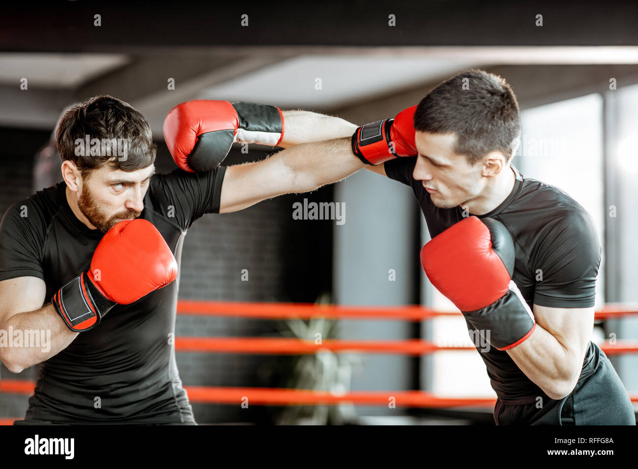 Two professional boxers in black sportswear during the fight on the ...