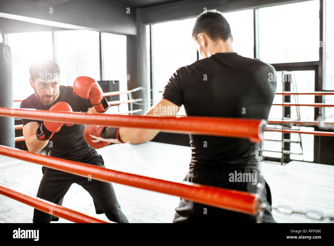 Professional fight hi-res stock photography and images - Alamy