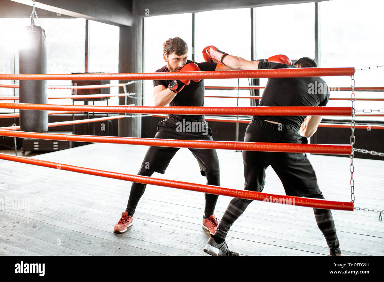 Two professional boxers in black sportswear during the fight on the ...