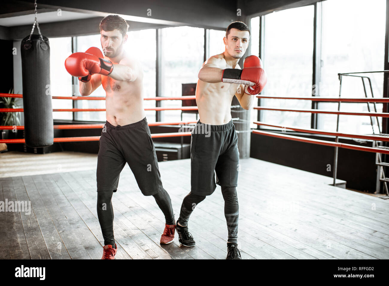 Portrait of a two professional boxers training together on the boxing ...