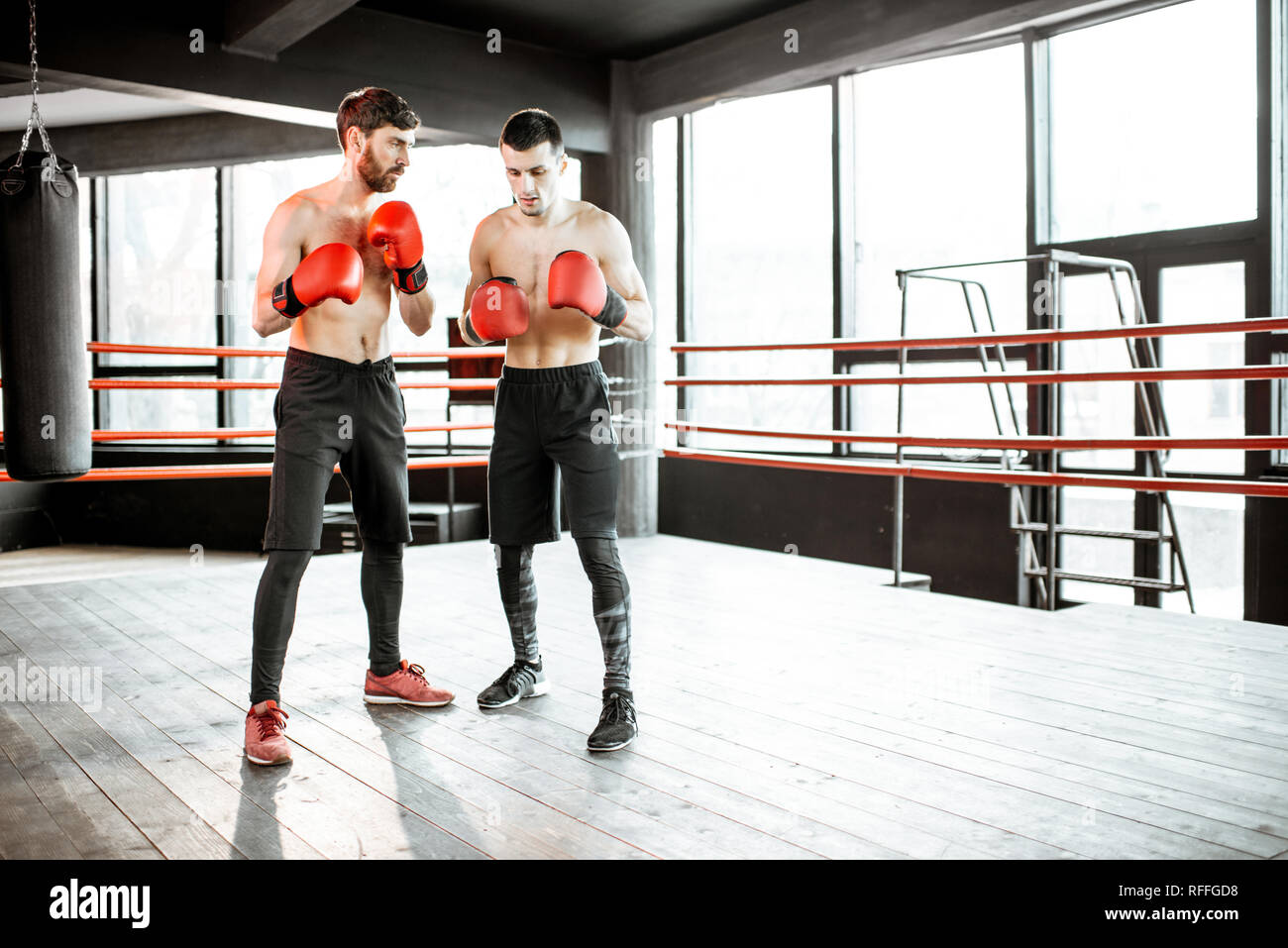 Portrait of a two professional boxers training together on the boxing ...