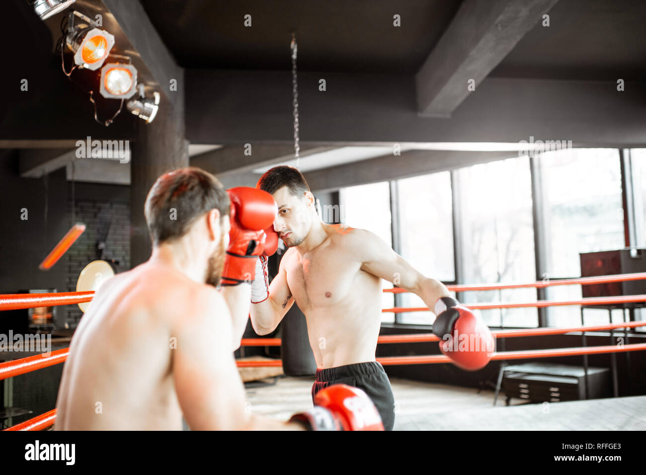 Two professional boxers in black sportswear during the fight on the ...