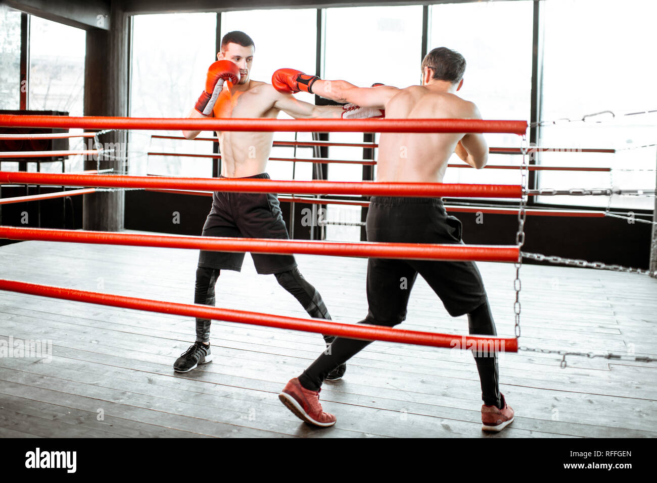 Two professional boxers in black sportswear during the fight on the ...