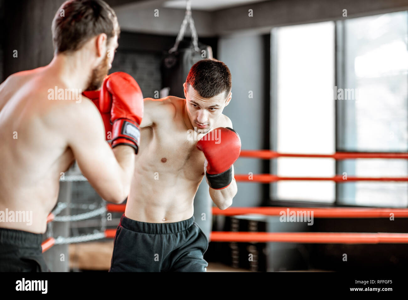 Two boxers sparring fighting gym hi-res stock photography and images ...