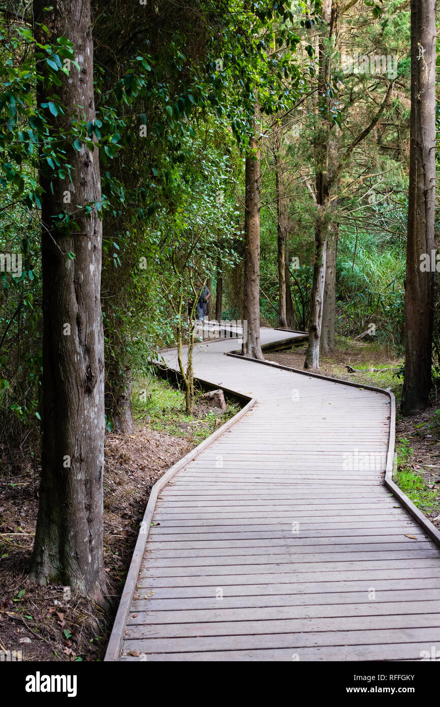 winding wooden walkways with benches in a city forest park Stock Photo ...