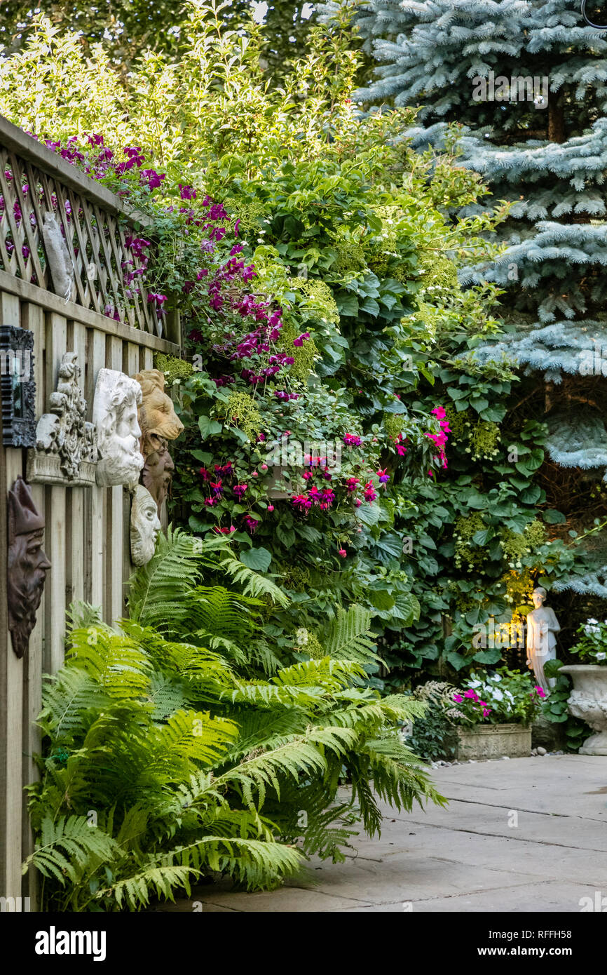 Interlock tree hi-res stock photography and images - Alamy