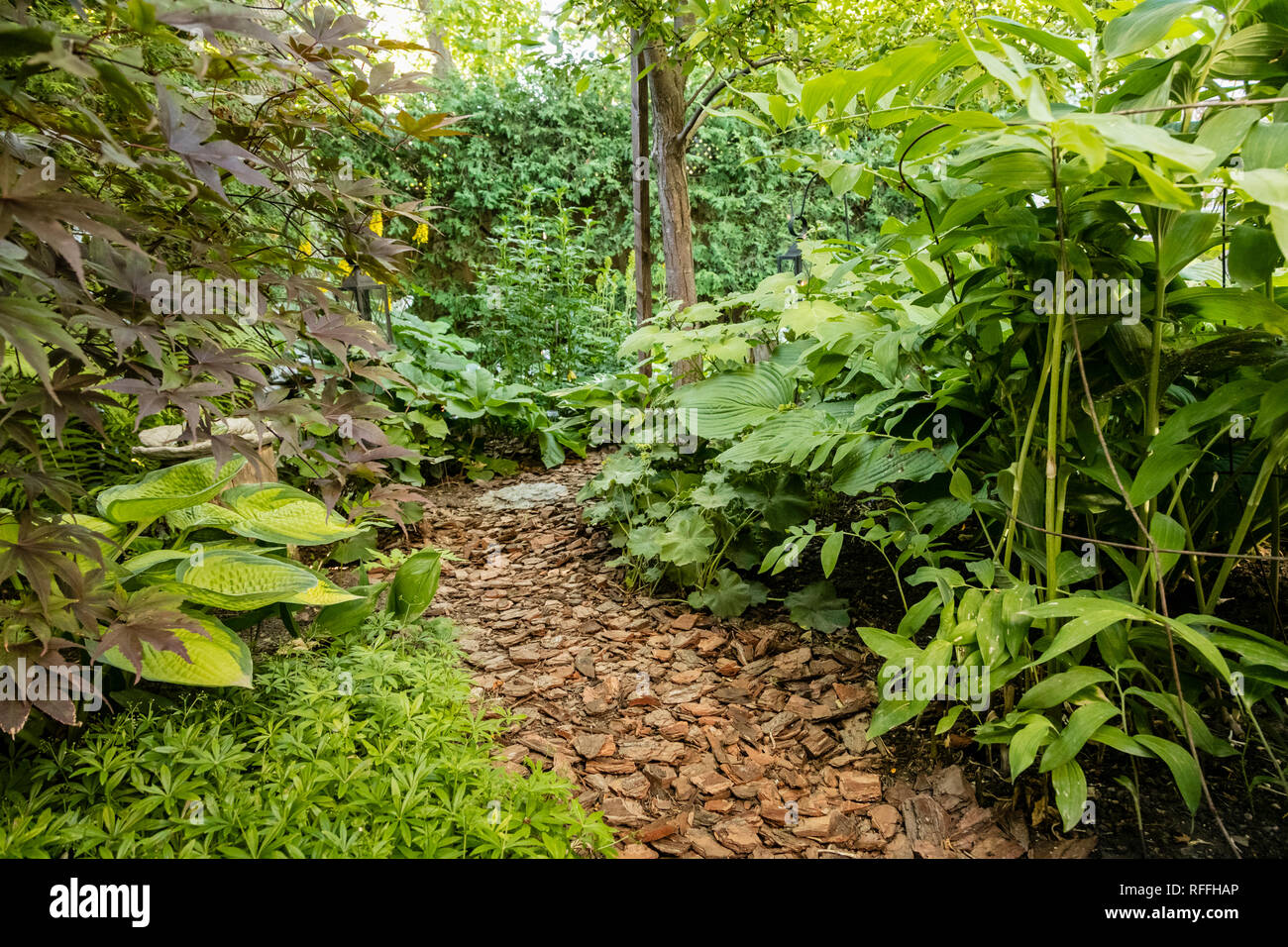 Natural garden with a path of cedar bark Stock Photo - Alamy