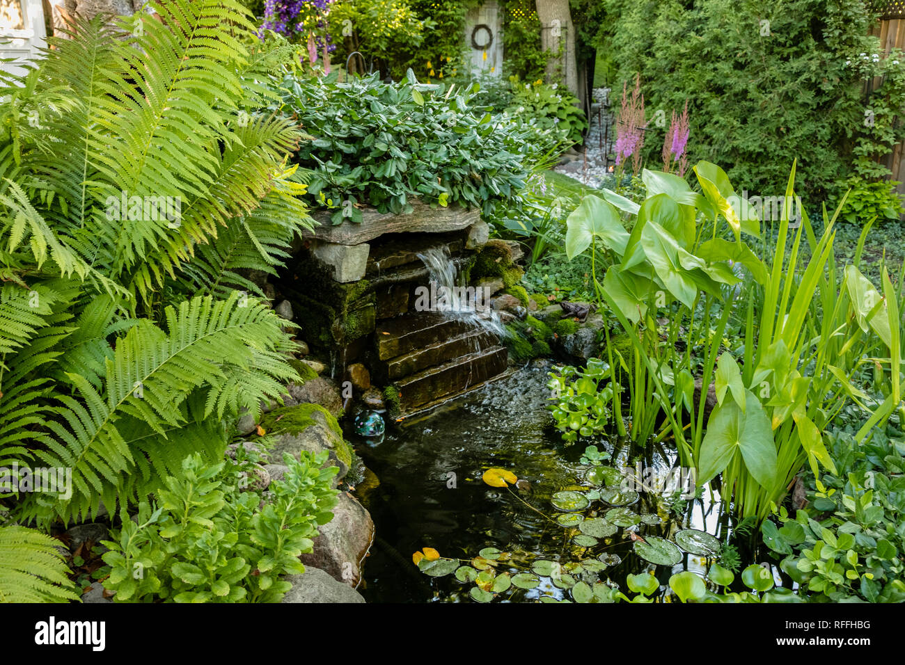 Garden waterfall feature hi-res stock photography and images - Alamy
