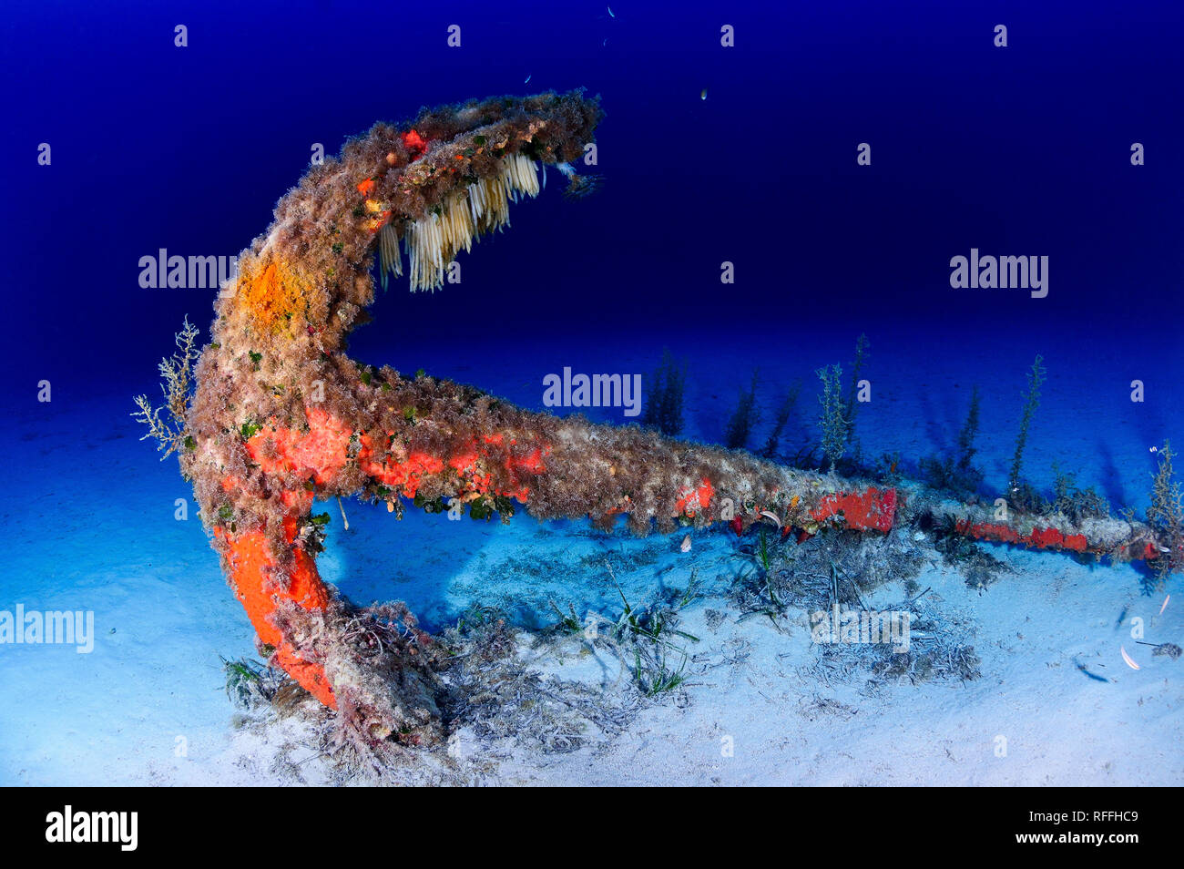 Anchor of MV Rozi Wreck in Malta Stock Photo - Alamy