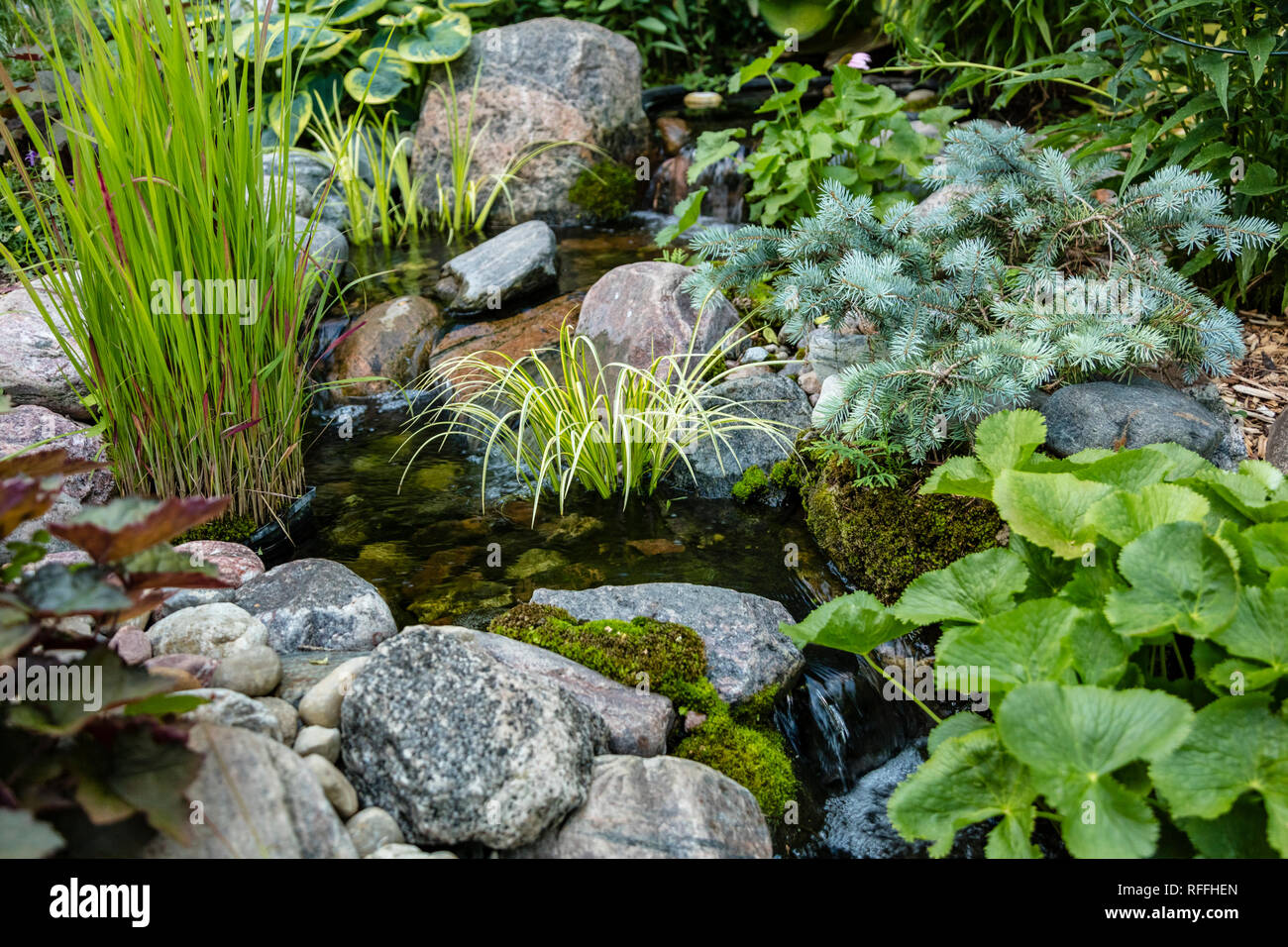 Garden detail of water feature pond with rocks and plants Stock Photo ...