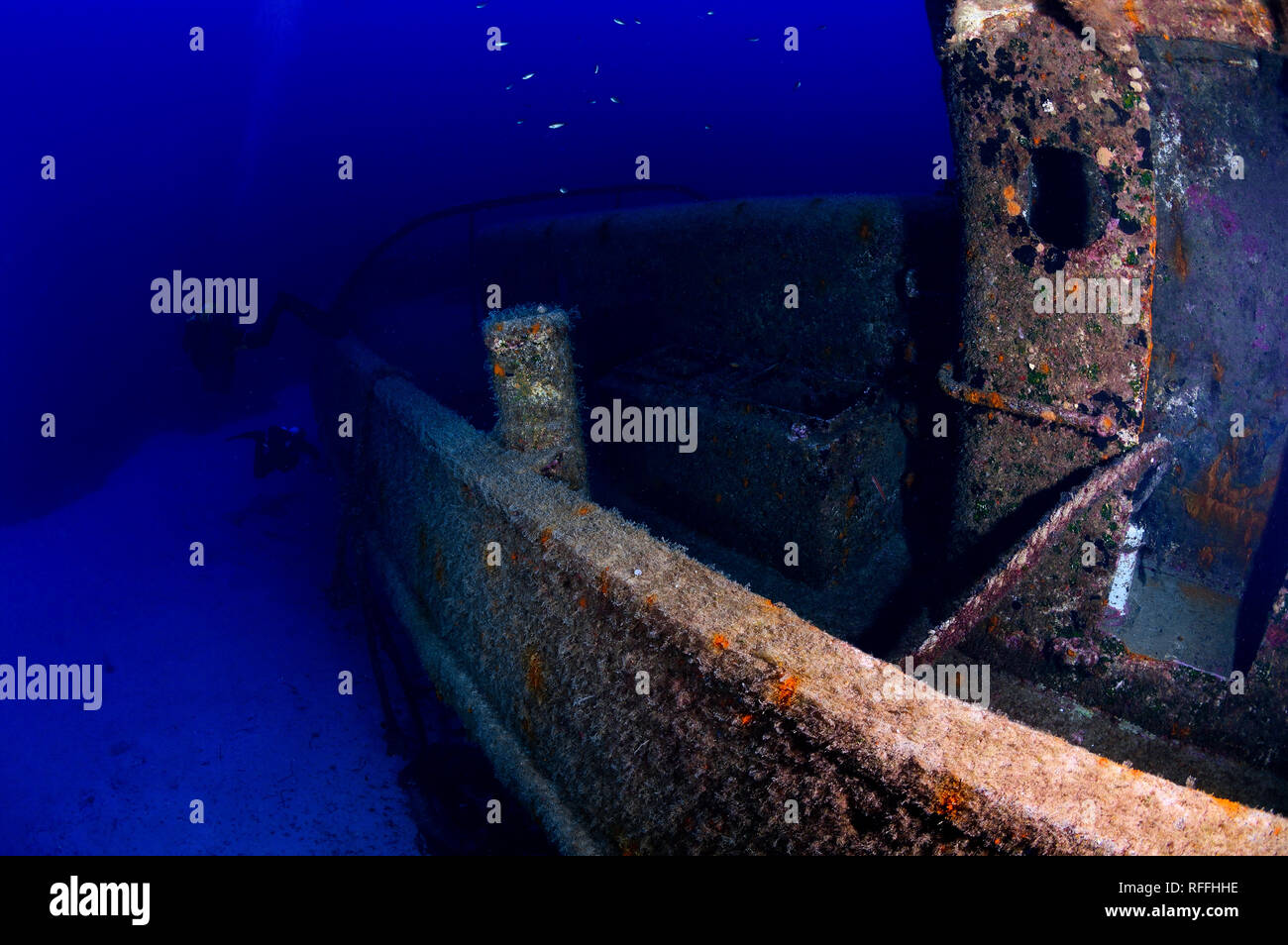 Mv rozi hi-res stock photography and images - Alamy