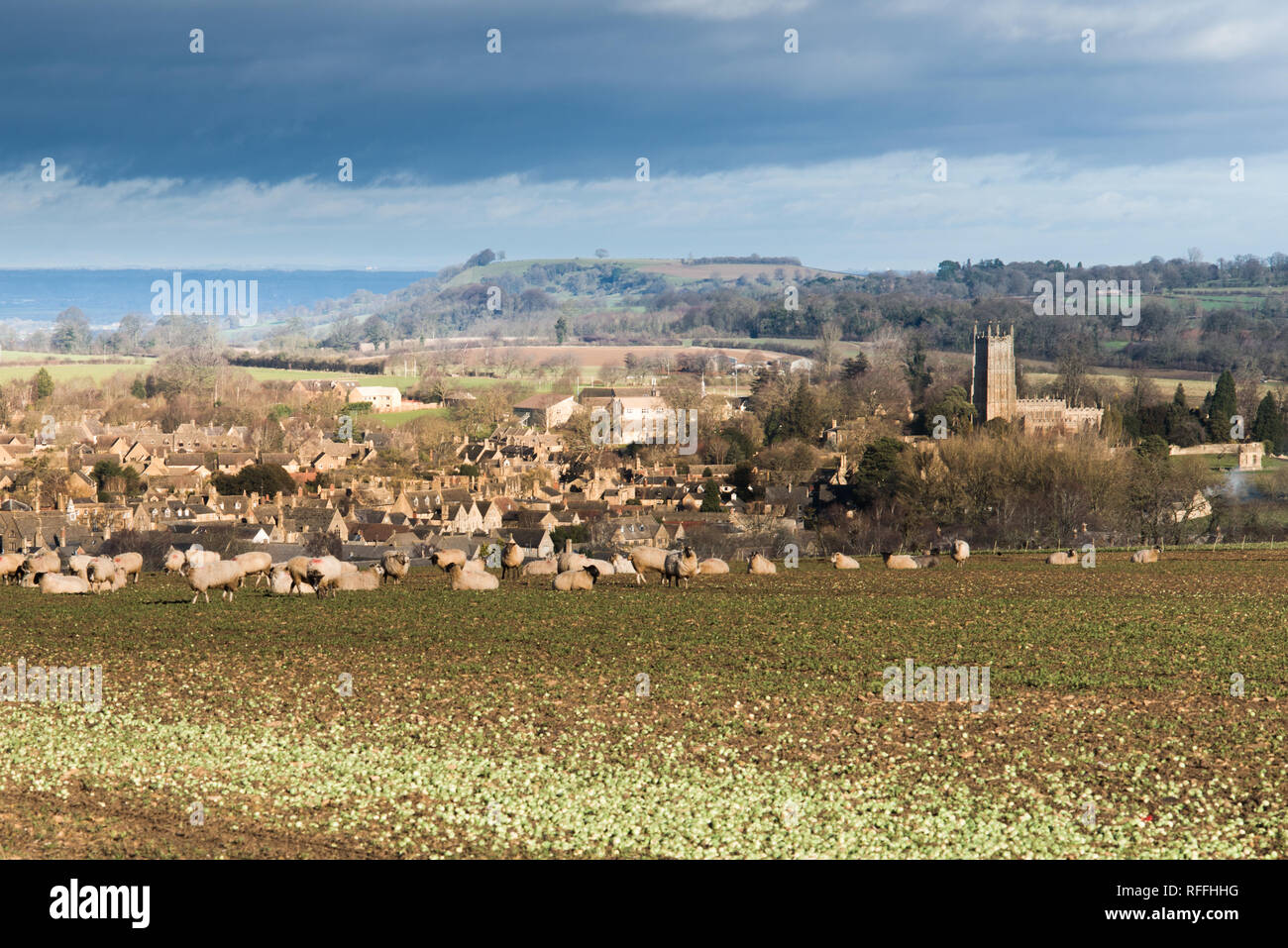 traditional overgrown English dry stone wall with brambles and Stock ...