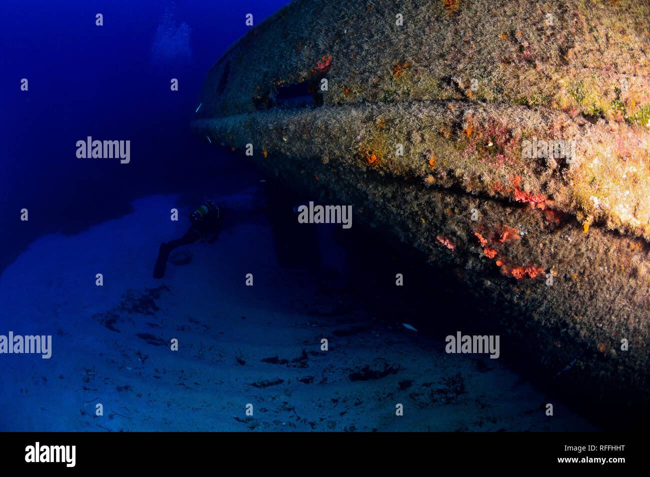 Mv rozi hi-res stock photography and images - Alamy