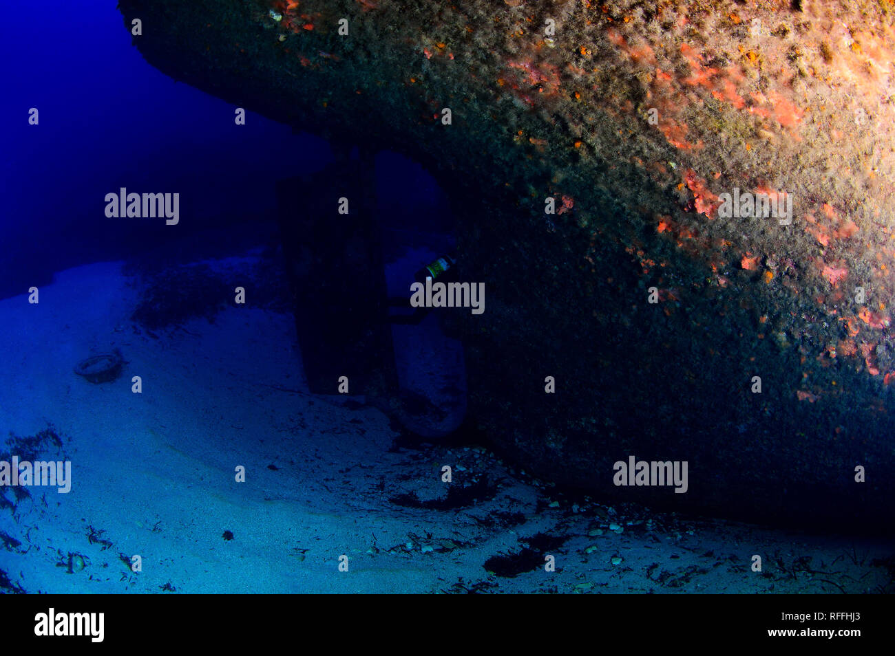 Mv rozi hi-res stock photography and images - Alamy