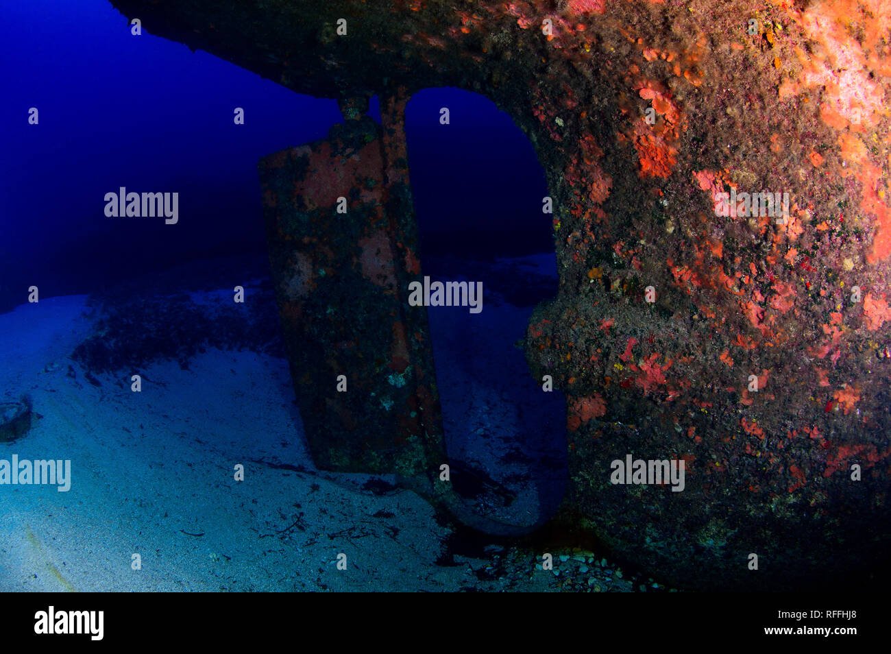 Mv rozi hi-res stock photography and images - Alamy