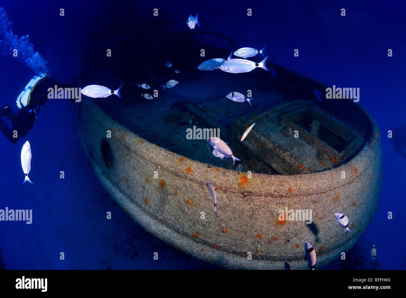 Mv rozi hi-res stock photography and images - Alamy