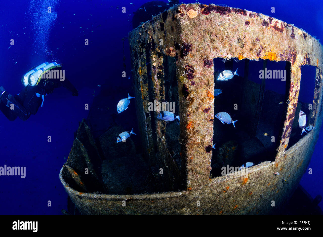 MV Rozi Wreck in Malta Stock Photo - Alamy