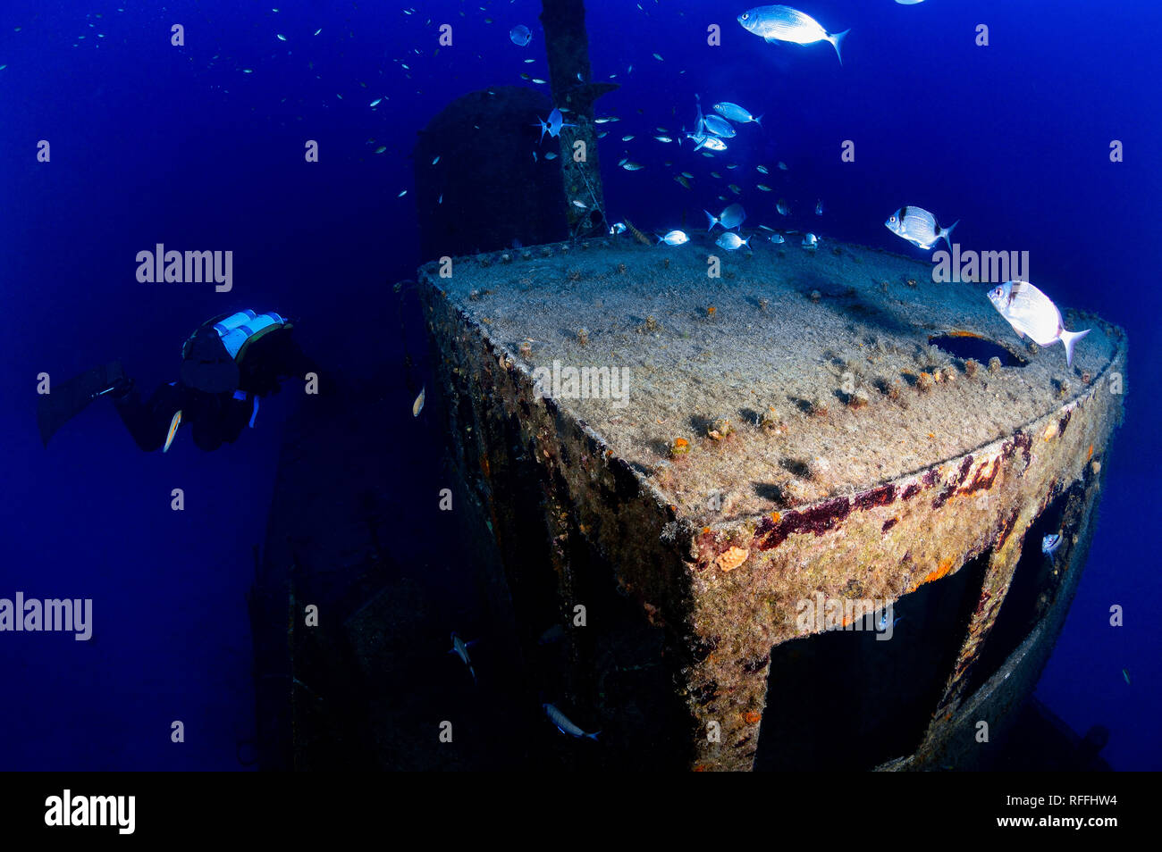 Mv rozi hi-res stock photography and images - Alamy