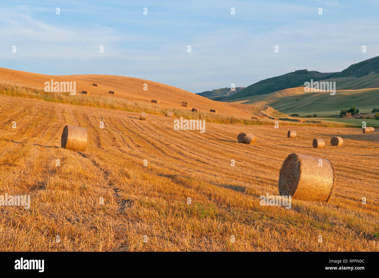 Hay bales in rolling fields hi-res stock photography and images - Alamy