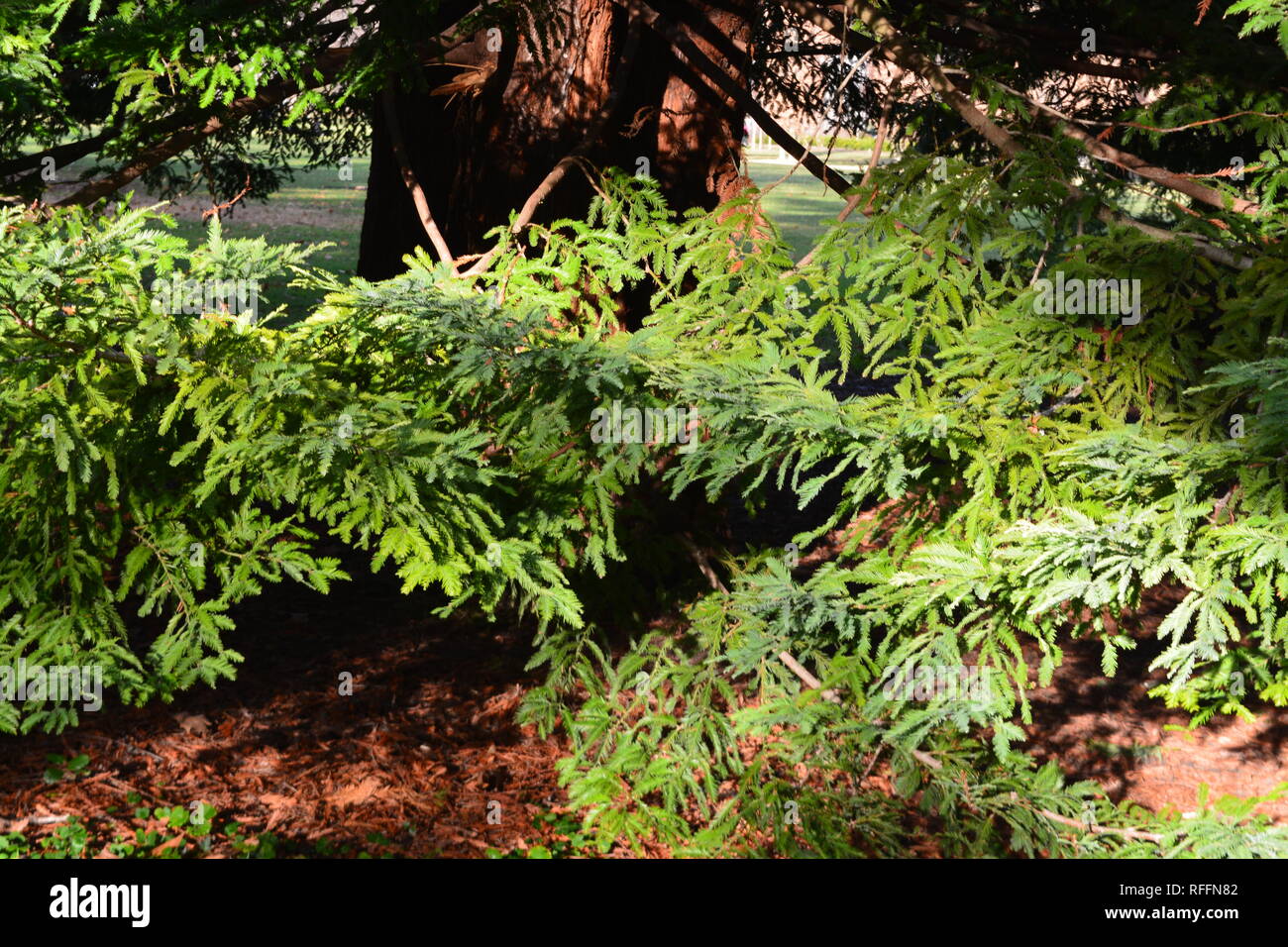 The beauties in Countryside in France Stock Photo - Alamy