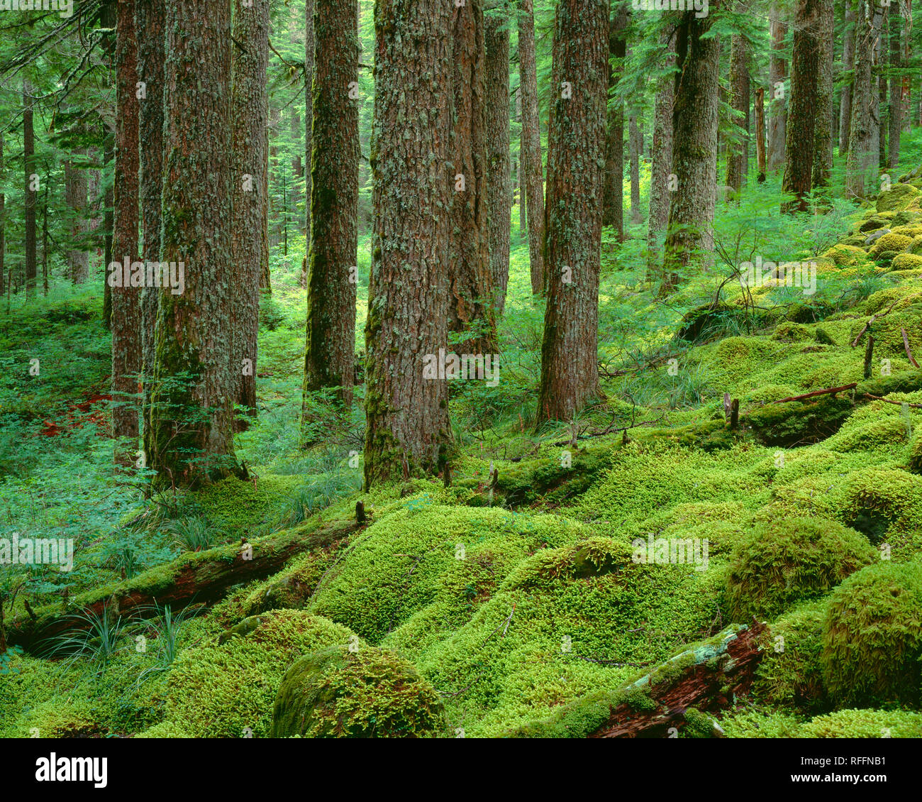 Rise gorge hi-res stock photography and images - Alamy