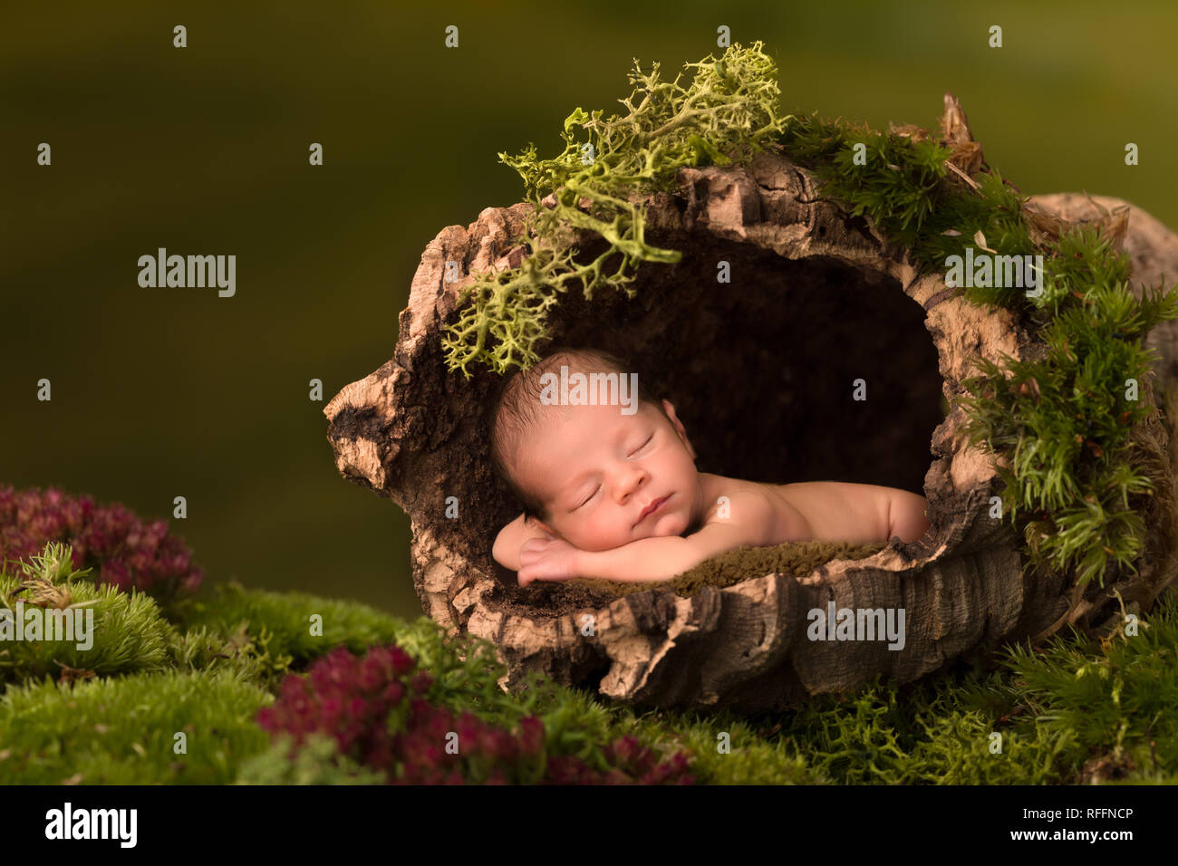 Newborn baby sleeping in a cork tree trunk Stock Photo - Alamy