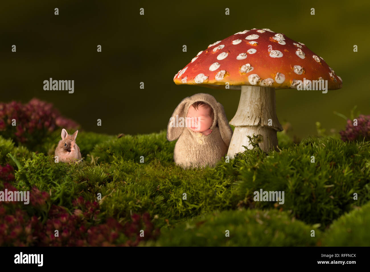 Newborn baby dressed as a rabbit sleeping against a toadstool Stock ...