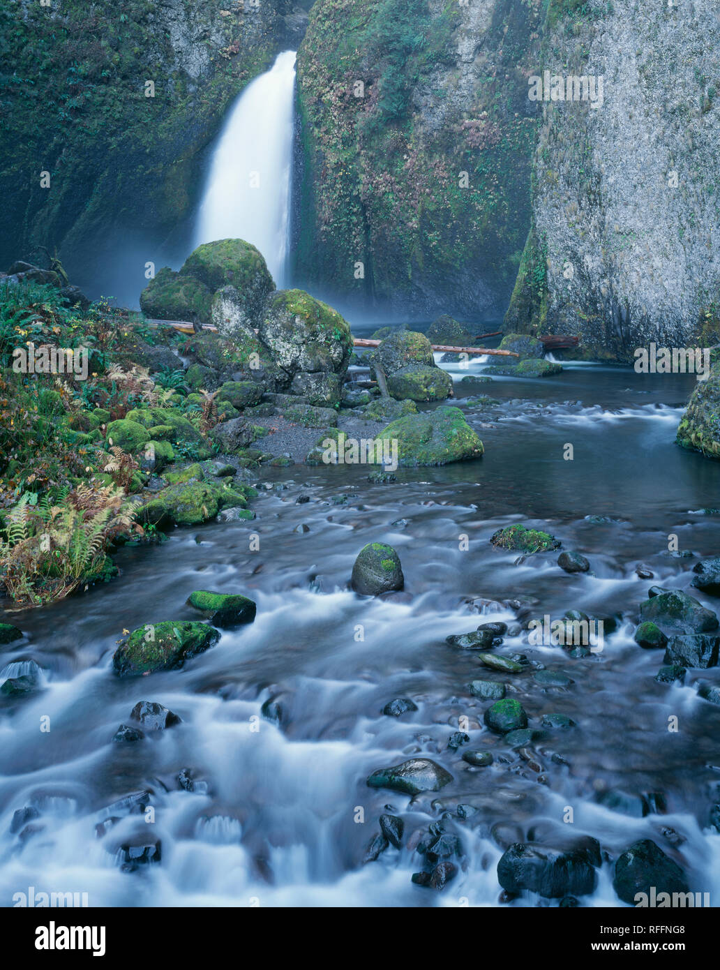 Tanner fall hi-res stock photography and images - Alamy