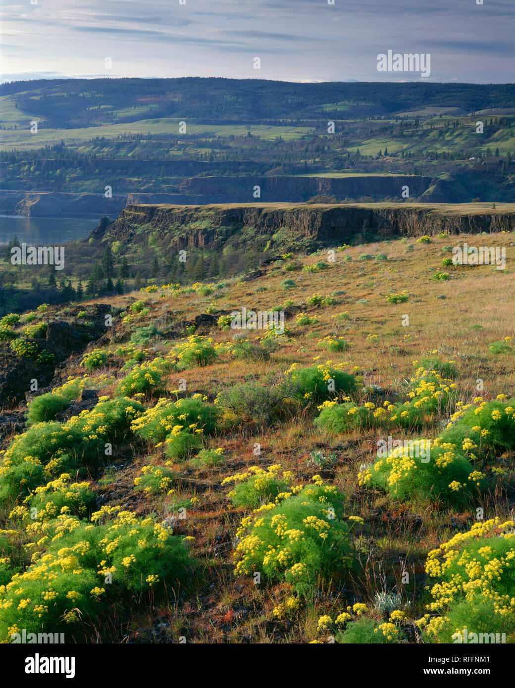 Basalt hills hi-res stock photography and images - Alamy