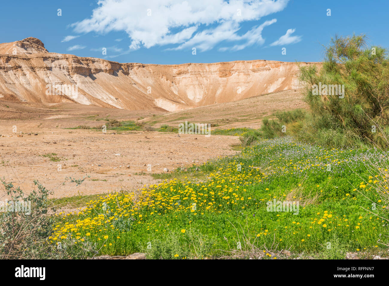 Judean desert. Israel Stock Photo - Alamy