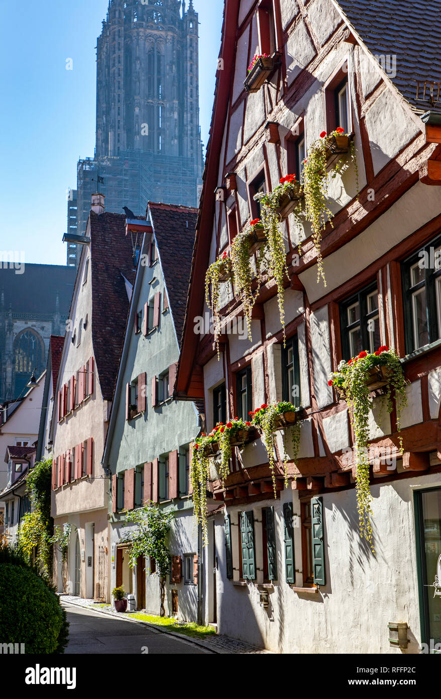 Ulmer mynster hi-res stock photography and images - Alamy