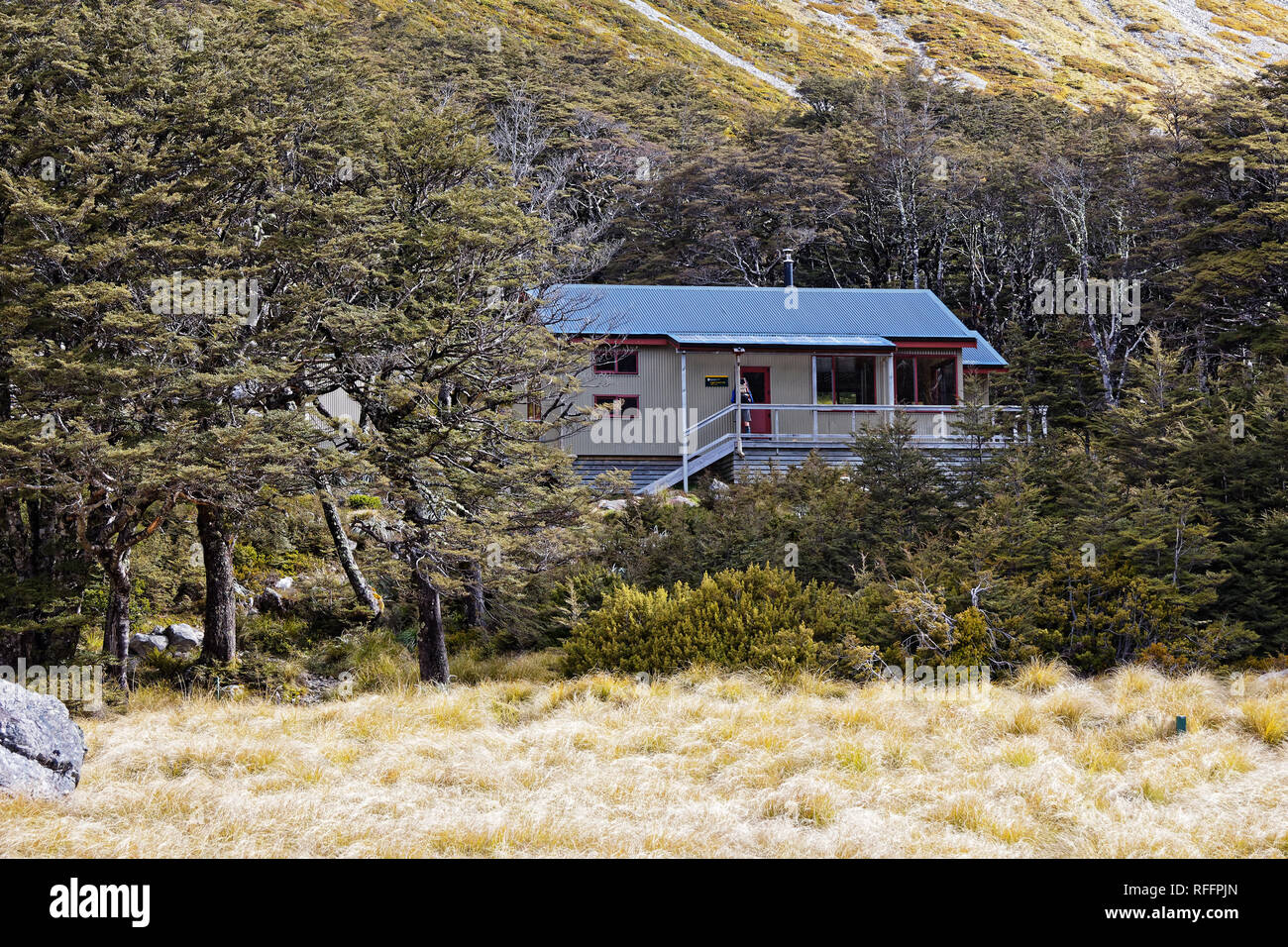 Maori Hut High Resolution Stock Photography and Images - Alamy