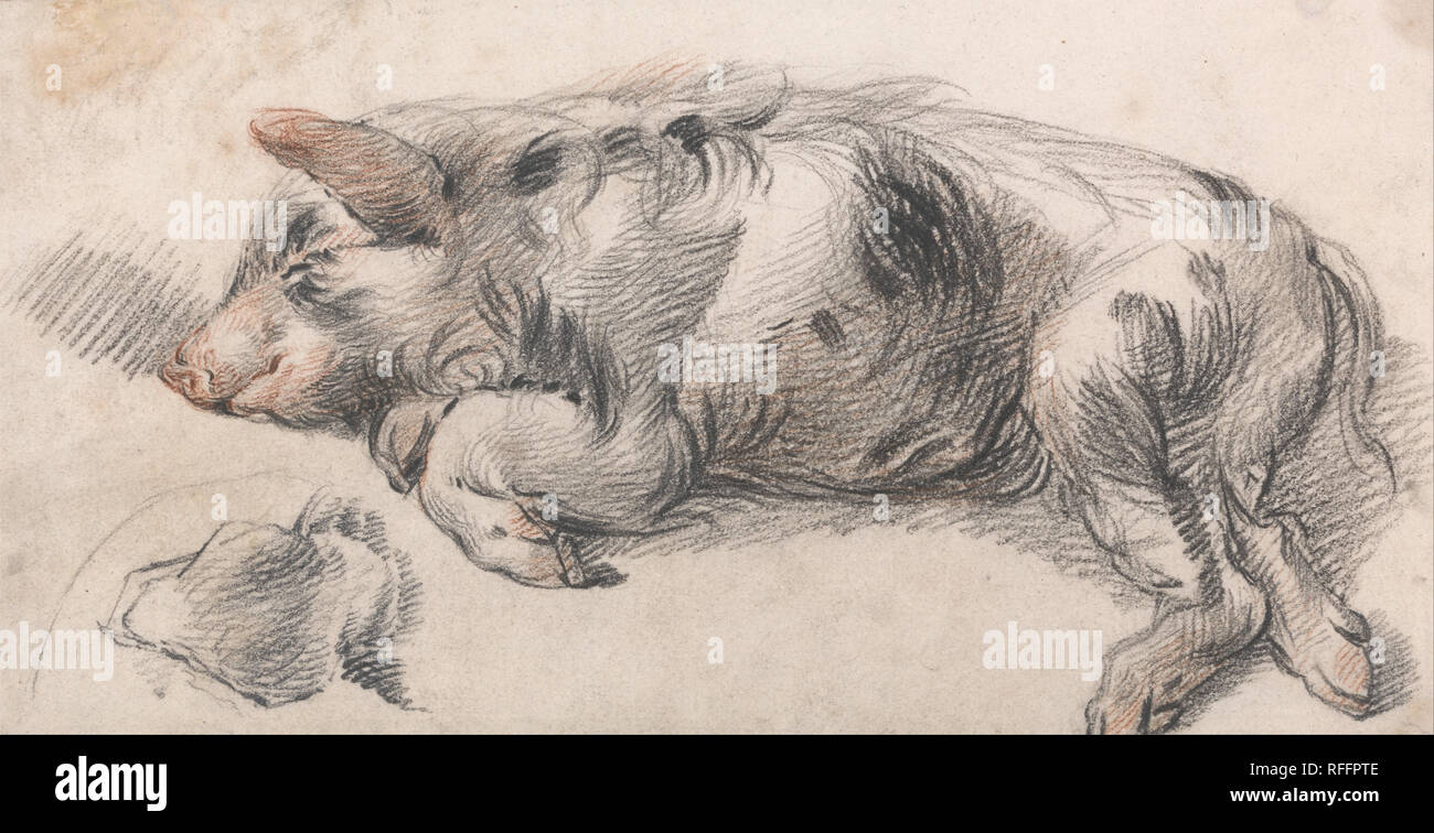 Sleeping pig drawing hi-res stock photography and images - Alamy