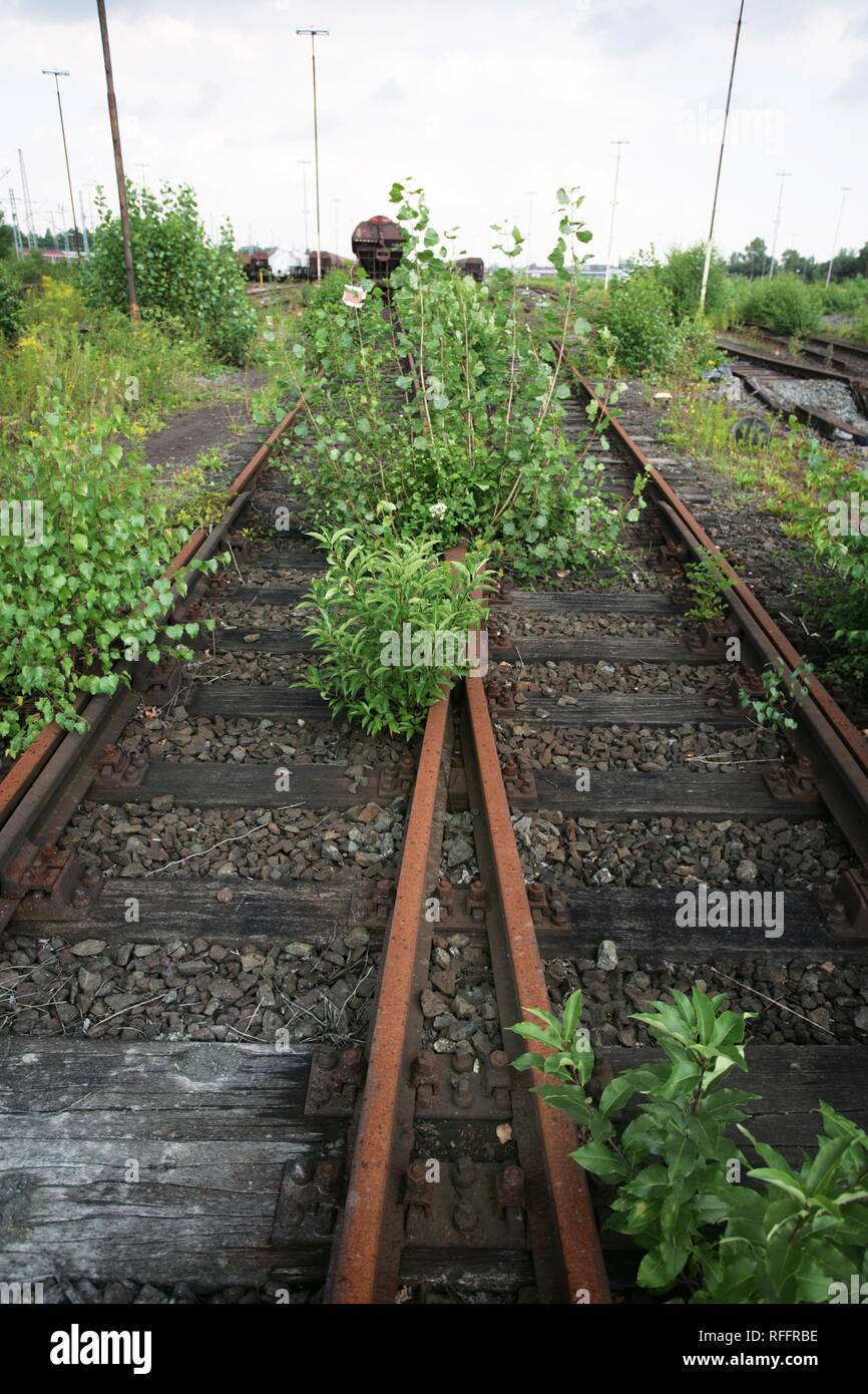 DEU, Germany: Old railroad tracks, out of service. | Stock Photo - Alamy