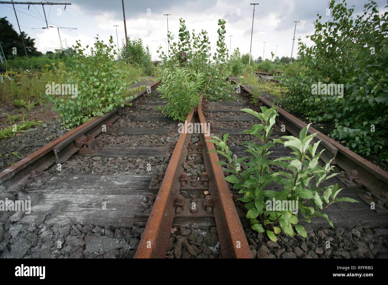 DEU, Germany: Old railroad tracks, out of service. | Stock Photo - Alamy