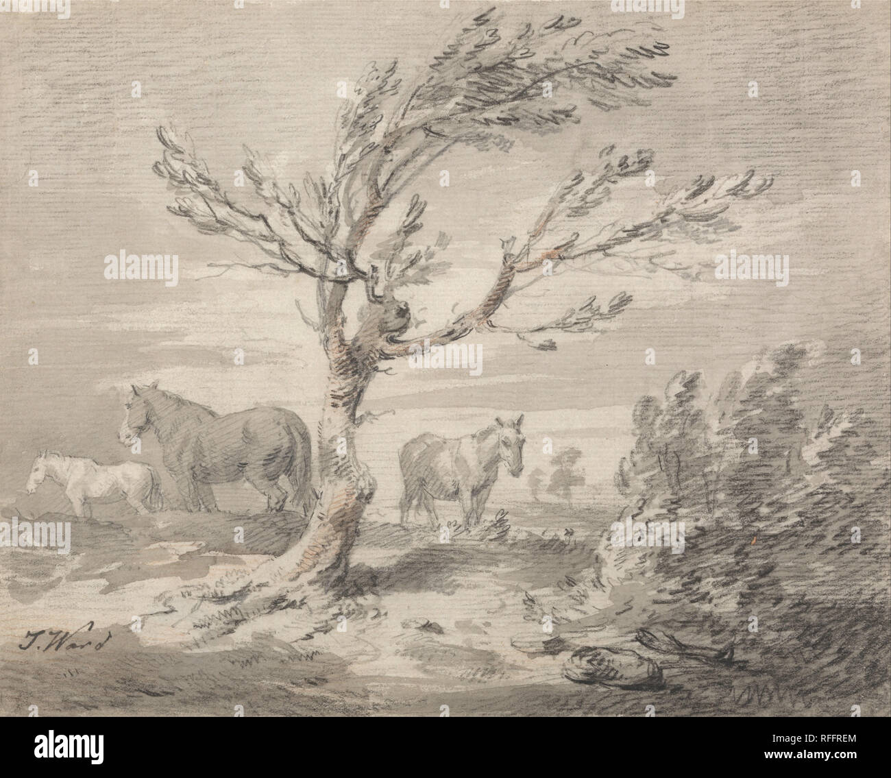 Foreground drawing hi-res stock photography and images - Alamy