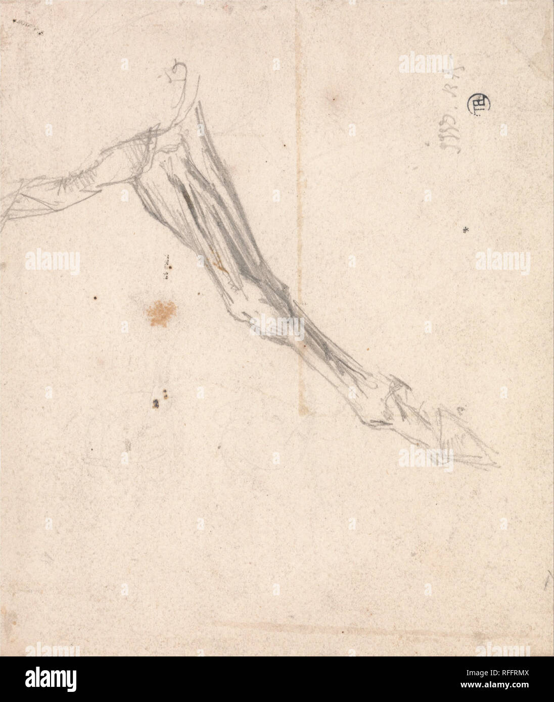 Horse's Foreleg: Possibly a Study for "L'Amour de Cheval", Dated 1827 ...