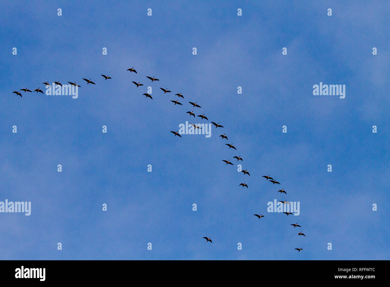 Flight pattern hi-res stock photography and images - Alamy