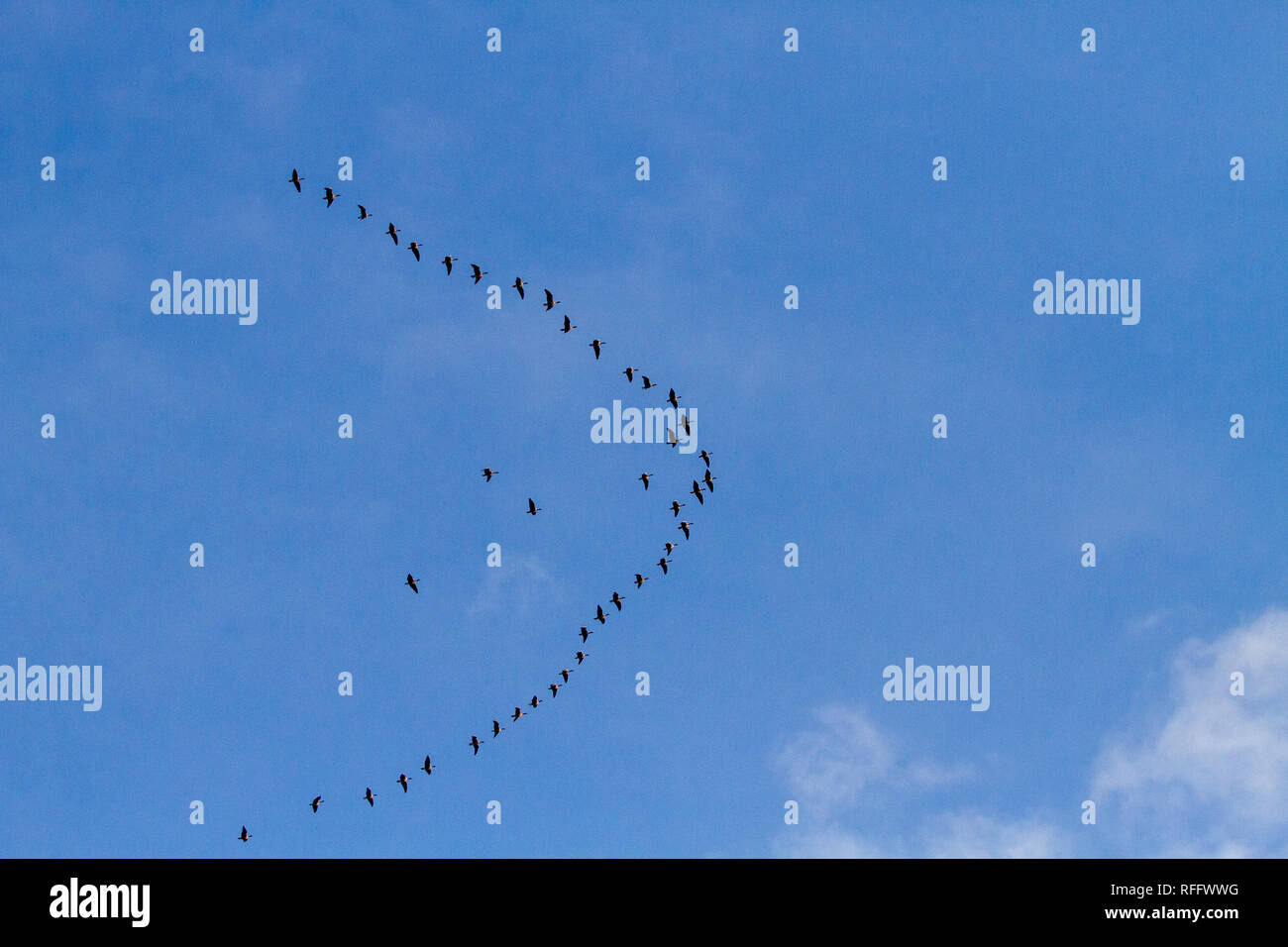 Flight pattern hi-res stock photography and images - Alamy
