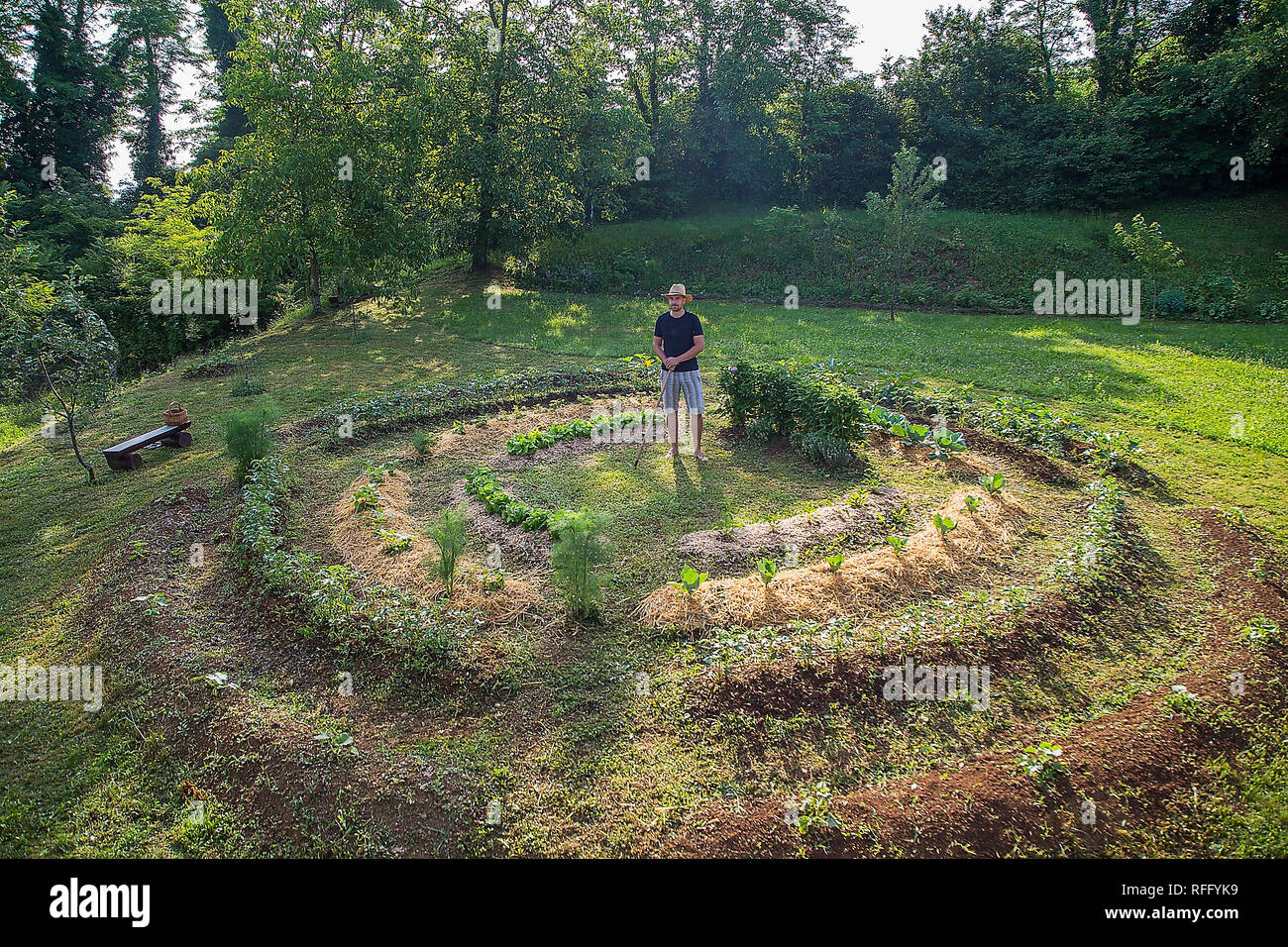 Young man with hat Working in a Home Grown Vegetable Garden Stock Photo ...