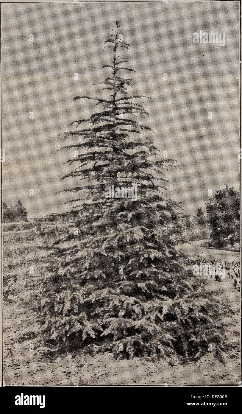 . Fruitland Nurseries. Nurseries (Horticulture) Georgia Augusta ...